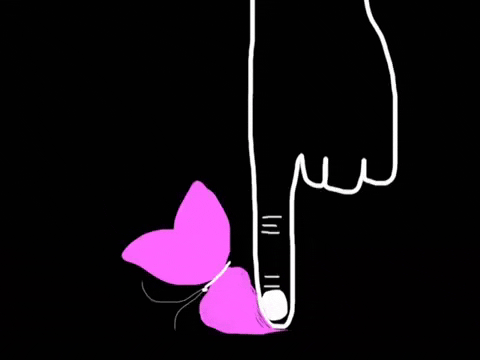 Butterfly Caught GIFs - Get the best GIF on GIPHY