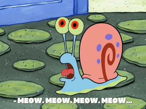 Gary Spongebob Meow