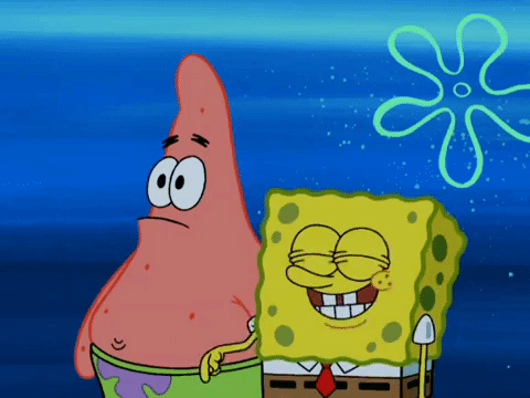 Twoset Violin GIFs - Get the best GIF on GIPHY