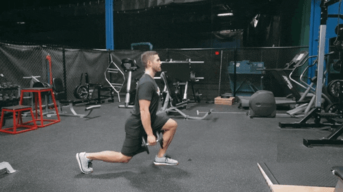 Split Squat Dumbell Lunge GIF by Hockey Training - Find & Share on GIPHY
