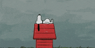 Funny Snoopy GIFs - Find & Share on GIPHY