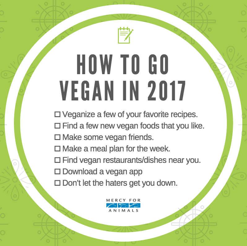 Find Recipes GIFs - Find & Share on GIPHY