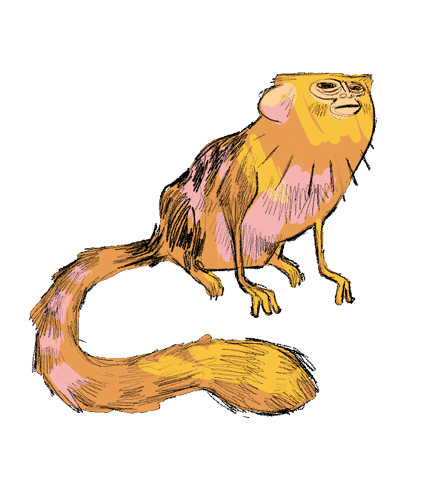 Monkey Yes Sticker by Shanti for iOS & Android | GIPHY