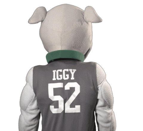 Iggy Sticker by Loyola University Maryland for iOS & Android | GIPHY