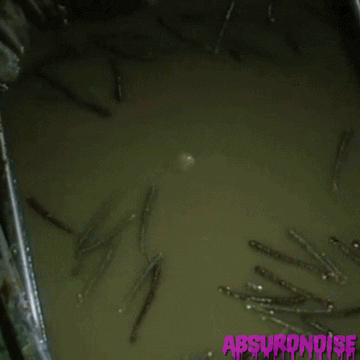 Prom-horror GIFs - Get the best GIF on GIPHY