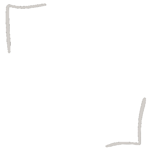 Border Rectangle Sticker for iOS & Android | GIPHY