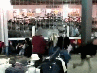 Black Friday Stampede Gif