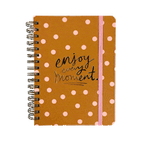 Agenda Planner Sticker by planos pontilhados for iOS & Android | GIPHY