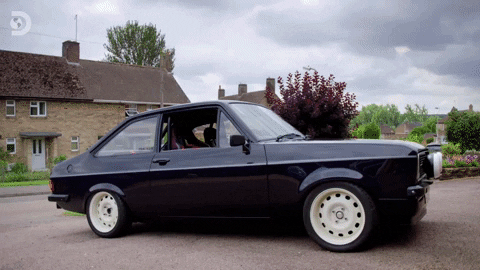 GIF by Discovery Europe - Find & Share on GIPHY