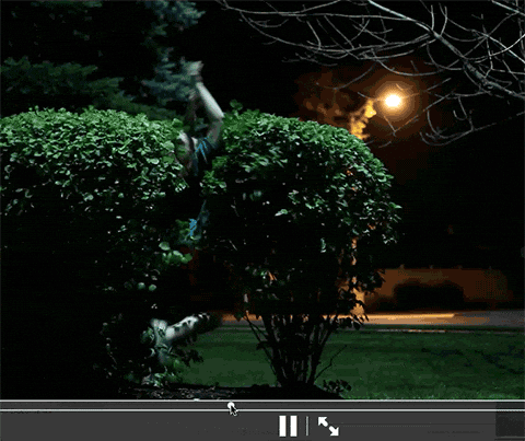 Hedge Trimming GIFs - Get the best GIF on GIPHY