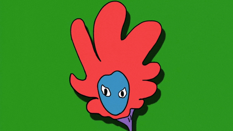 Flower Face GIFs - Get the best GIF on GIPHY