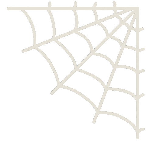Spider Web Halloween Sticker for iOS & Android | GIPHY