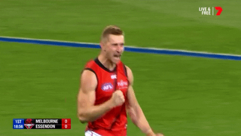 2019 AFL GIFs by AFL | GIPHY