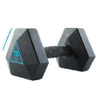 Decathlon Singapore GIFs on GIPHY - Be Animated