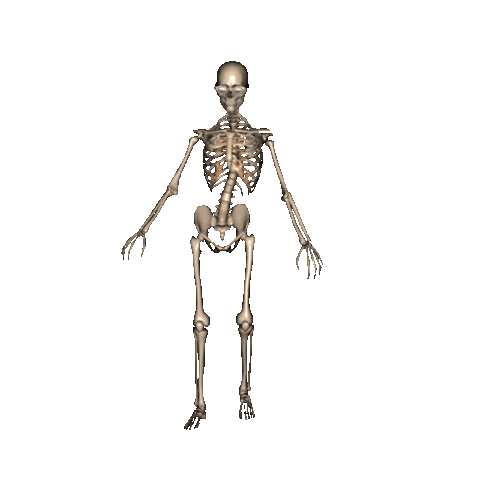 Transparent Dancing Skeleton Gif