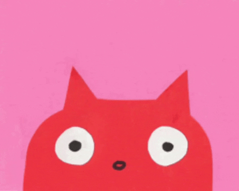 Hands Up What GIF - Find & Share on GIPHY