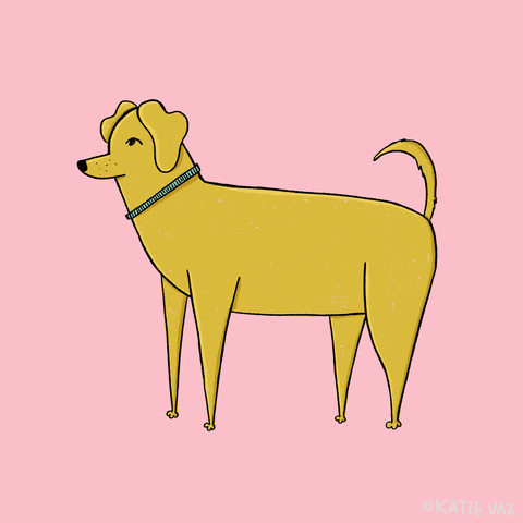 Dog Sitting GIFs - Get the best GIF on GIPHY