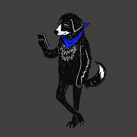 Phone Notifications GIFs - Get the best GIF on GIPHY