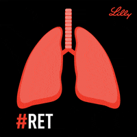Respiratory System Gif