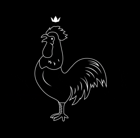 Gallito GIFs - Get the best GIF on GIPHY