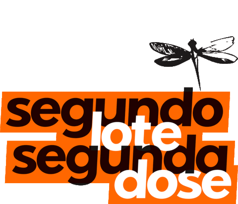 Segundo Lote Segunda Dose GIFs on GIPHY - Be Animated