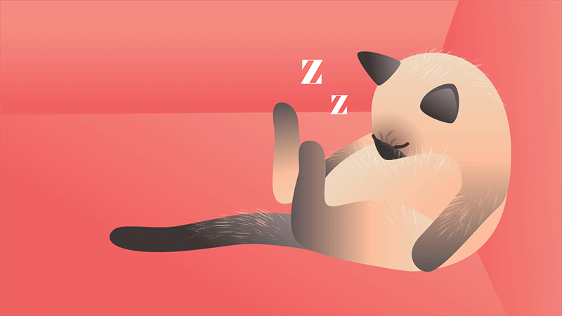 Tired Nap GIF by Jackie Lay - Find & Share on GIPHY