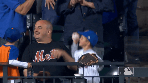 Mets Fan GIFs - Get the best GIF on GIPHY
