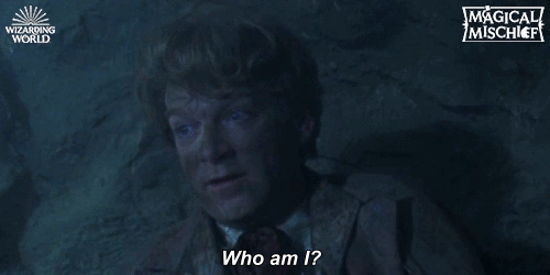 Confused Chamber Of Secrets GIF by Harry Potter - Find & Share on GIPHY