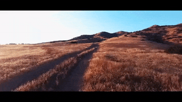 California GIFs - Find & Share on GIPHY