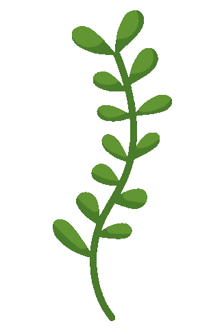 Plant Leaf Sticker by Kew Gardens for iOS & Android | GIPHY
