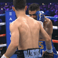 Boxing Knockout Gif