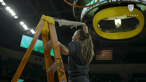 Cut The Net GIFs - Get the best GIF on GIPHY