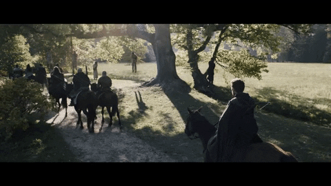 Horseback Riding Horse GIF by VVS FILMS - Find & Share on GIPHY