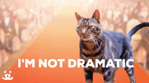 Dramatic Cat Gif