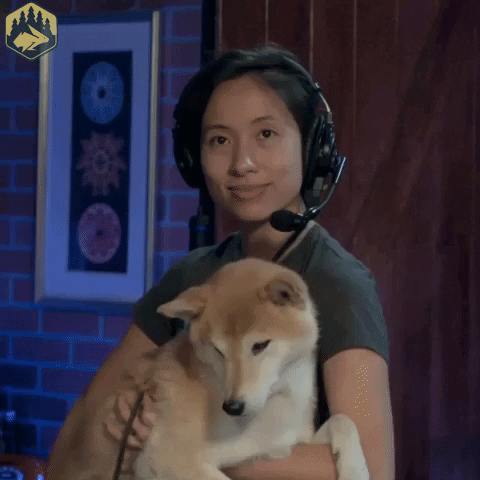 Shiba Inu Dance GIF by Hyper RPG - Find & Share on GIPHY