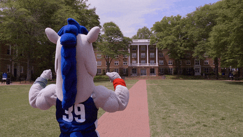 Lu Lancer GIF by Longwood University - Find & Share on GIPHY