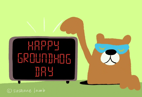 Groundhog Shadow GIFs - Get the best GIF on GIPHY