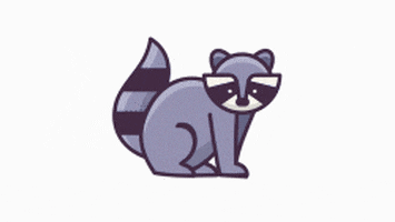 Happy Raccoon GIFs - Get the best GIF on GIPHY