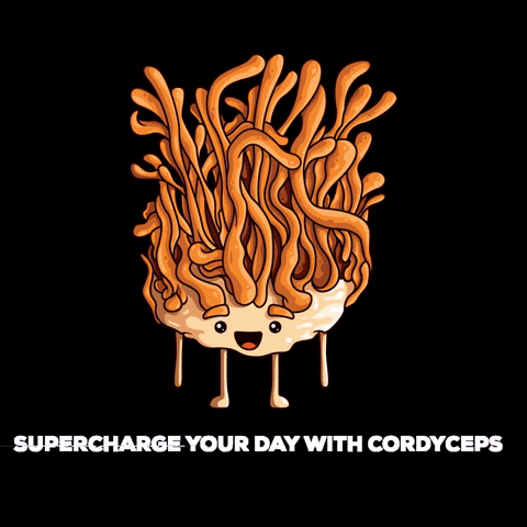 Fungies Mushroom Gummies GIF - Find & Share on GIPHY