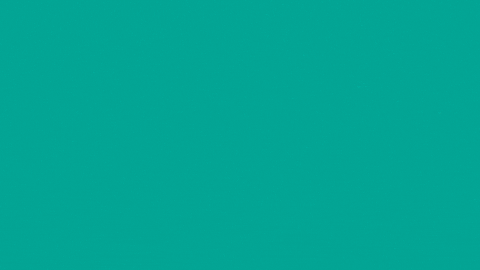 Cruzcampo GIFs - Get the best GIF on GIPHY