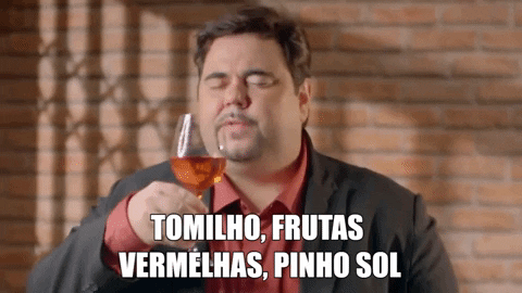 Vinho Sommelier GIF by Porta Dos Fundos - Find & Share on GIPHY