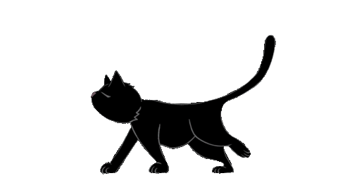 Animated Black Cat Gifs