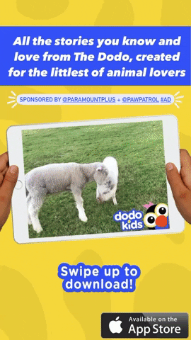 Swipe-up-animation GIFs - Get the best GIF on GIPHY
