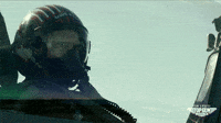 Top Gun Goose Gif