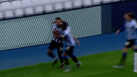 Goal Yes GIF by Sheffield Wednesday Football Club - Find & Share on GIPHY