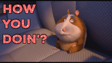 Cheesy-wink GIFs - Get the best GIF on GIPHY