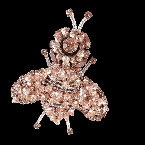 Accessories Brooch GIF by Aidan and Ice - Find & Share on GIPHY