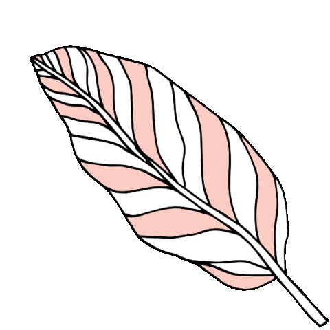 Feather Gif