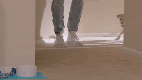 Puppyrunning GIFs - Get the best GIF on GIPHY