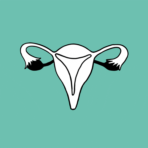 Ovarian GIFs - Get the best GIF on GIPHY